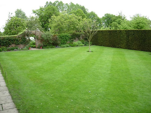 Lawn Mowing | NO LIMIT LAWN CARE | No Limit Lawn Care